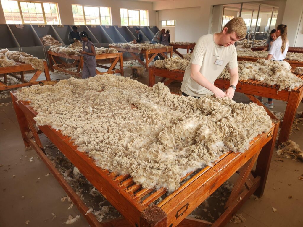 Classification and quality of wool - National Wool Growers Association